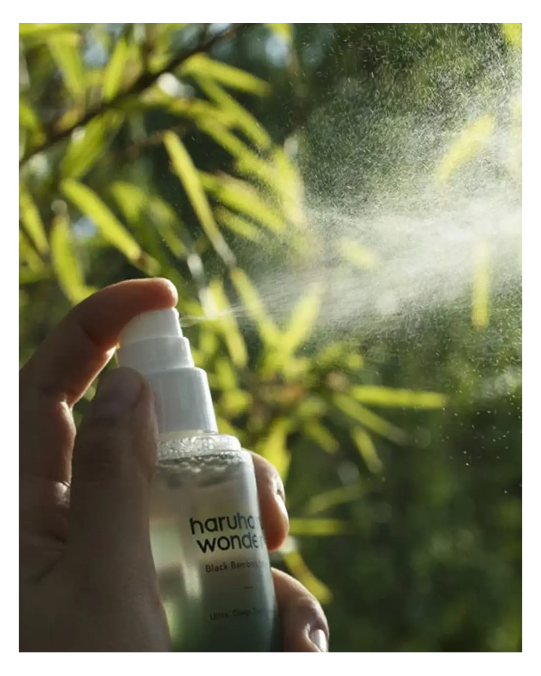 Мист Haruharu Wonder Black Bamboo Mist — купить в Ташкенте